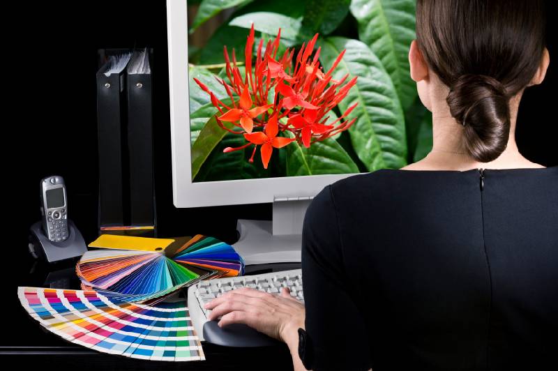 Washington DC, Baltimore and Virginia Graphic Design